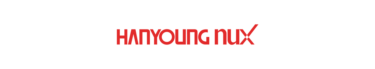 Hanyoung – Tempzone SA de CV